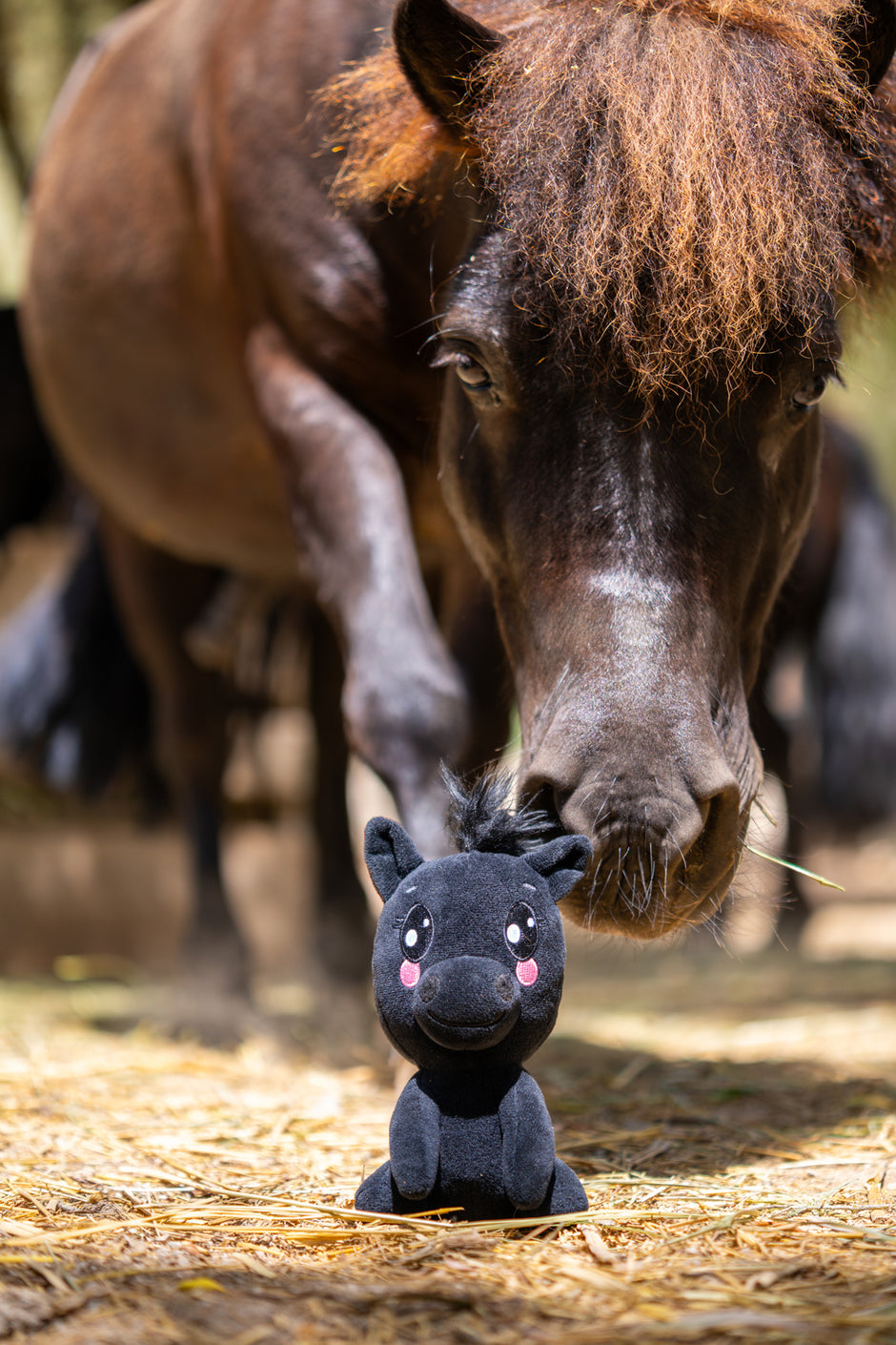 All – Hella Gabbert